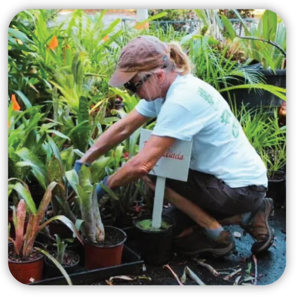 Community Wellness Program - Wellness Incentives Program - Terryberry