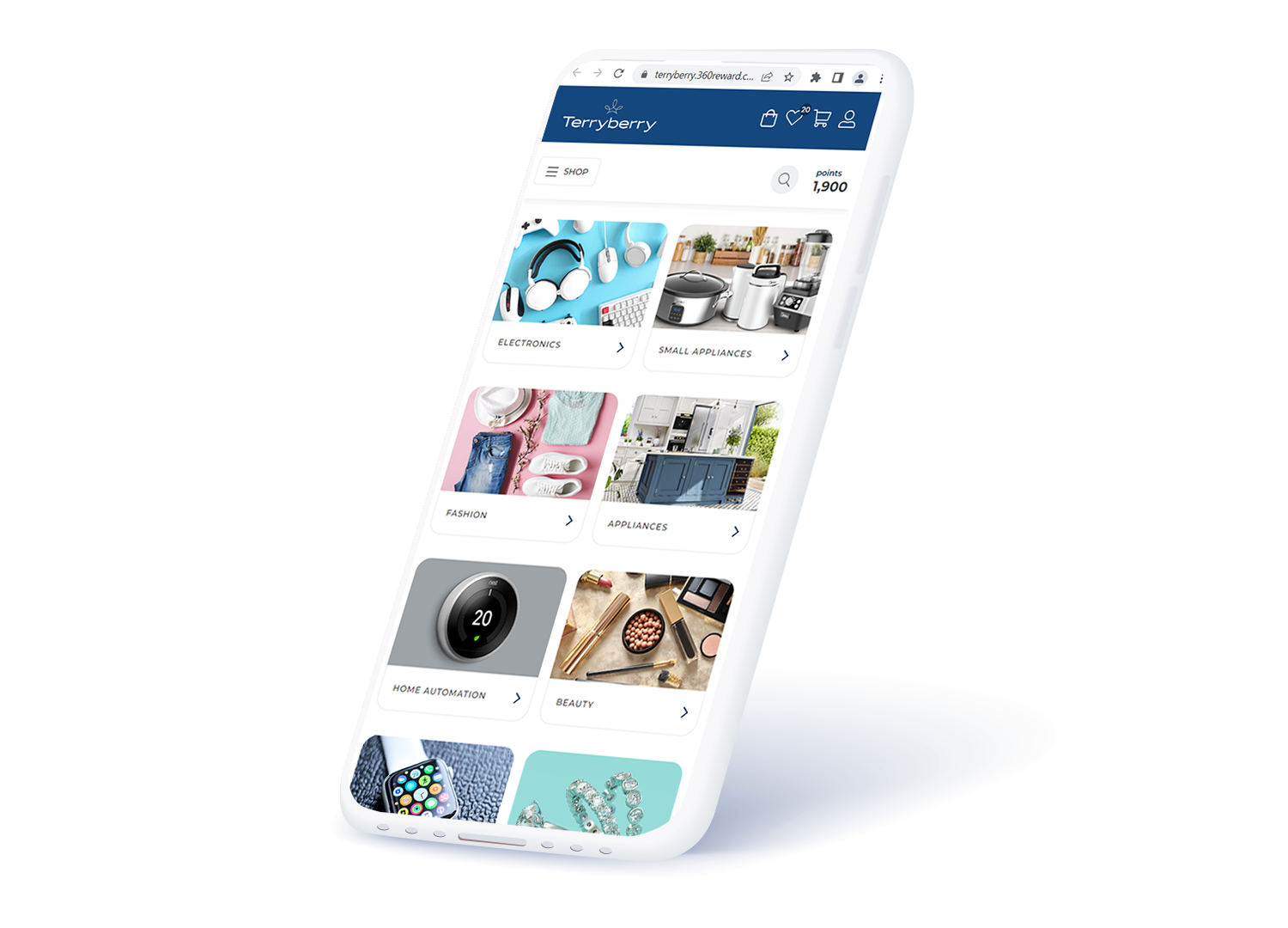 Employee Service Award Program - Years of Service Awards - Terryberry